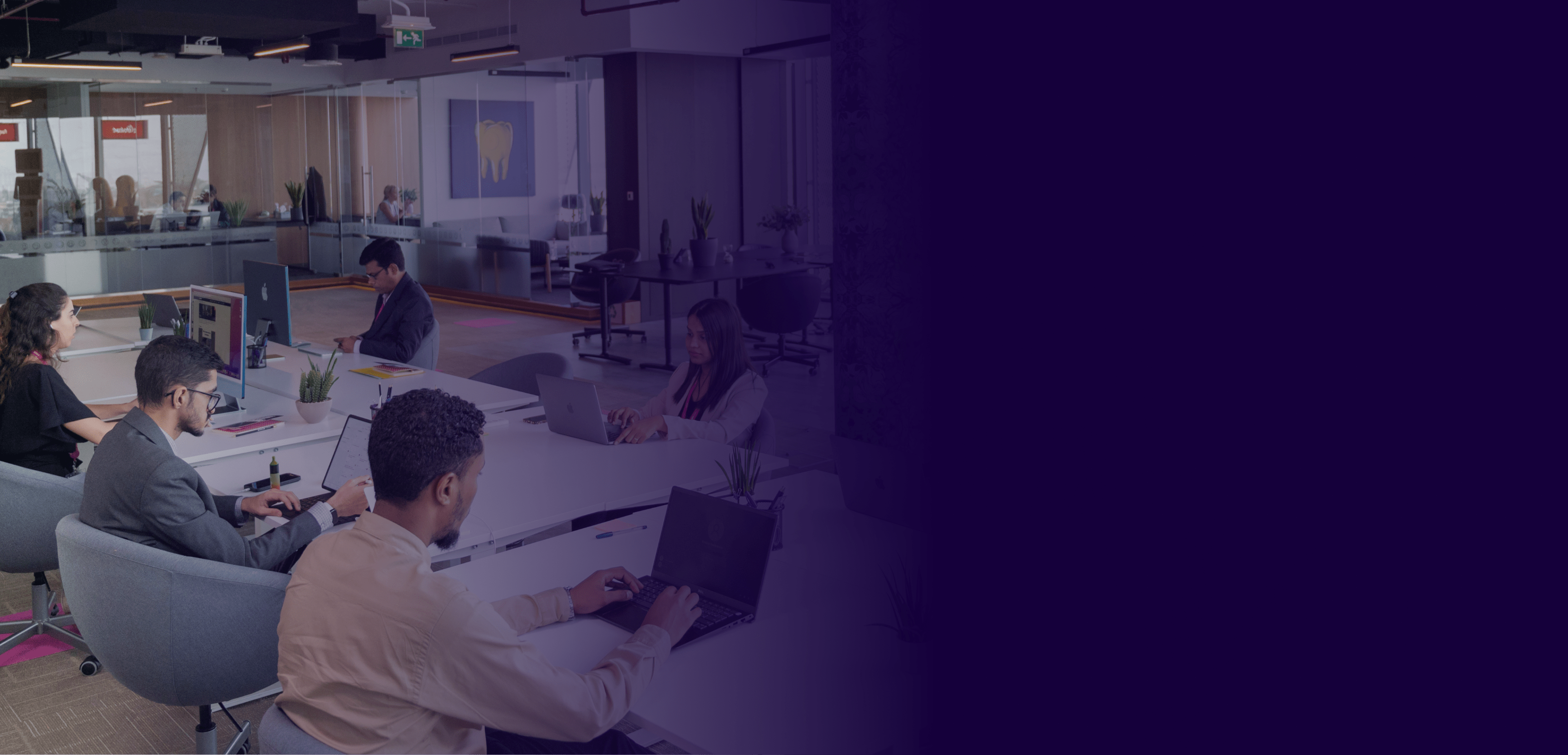 SoftConstruct Growth History | Softconstruct